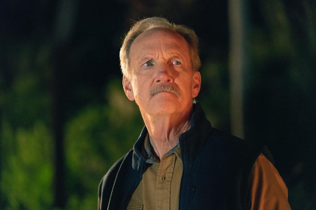 Michael O'Neill biografia: chi è, età, altezza, peso, figli, moglie ...