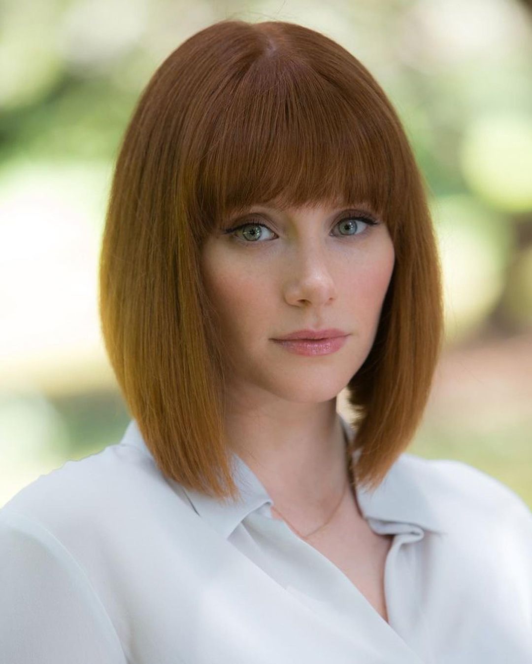 Bryce Dallas Howard biografia: chi è, età, altezza, peso, figli, marito ...